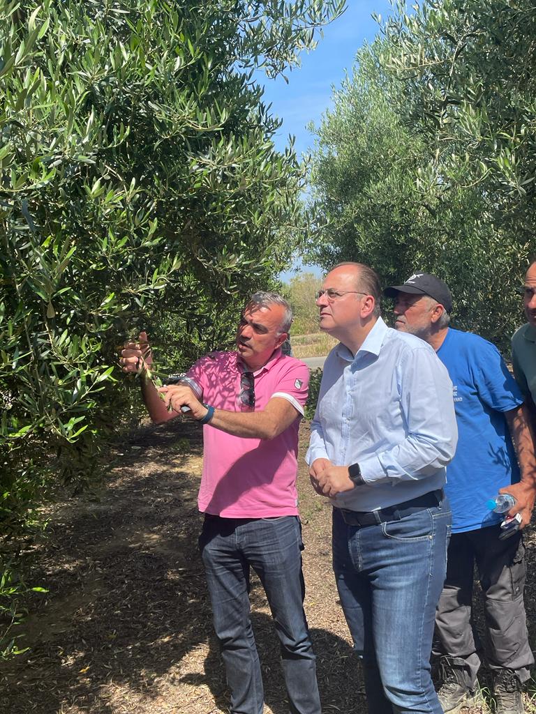 Ο Μακάριος μαζί με Μυστακίδη, Παπαμερή και Γρουζίδη, στους Ελαιώνες του ...