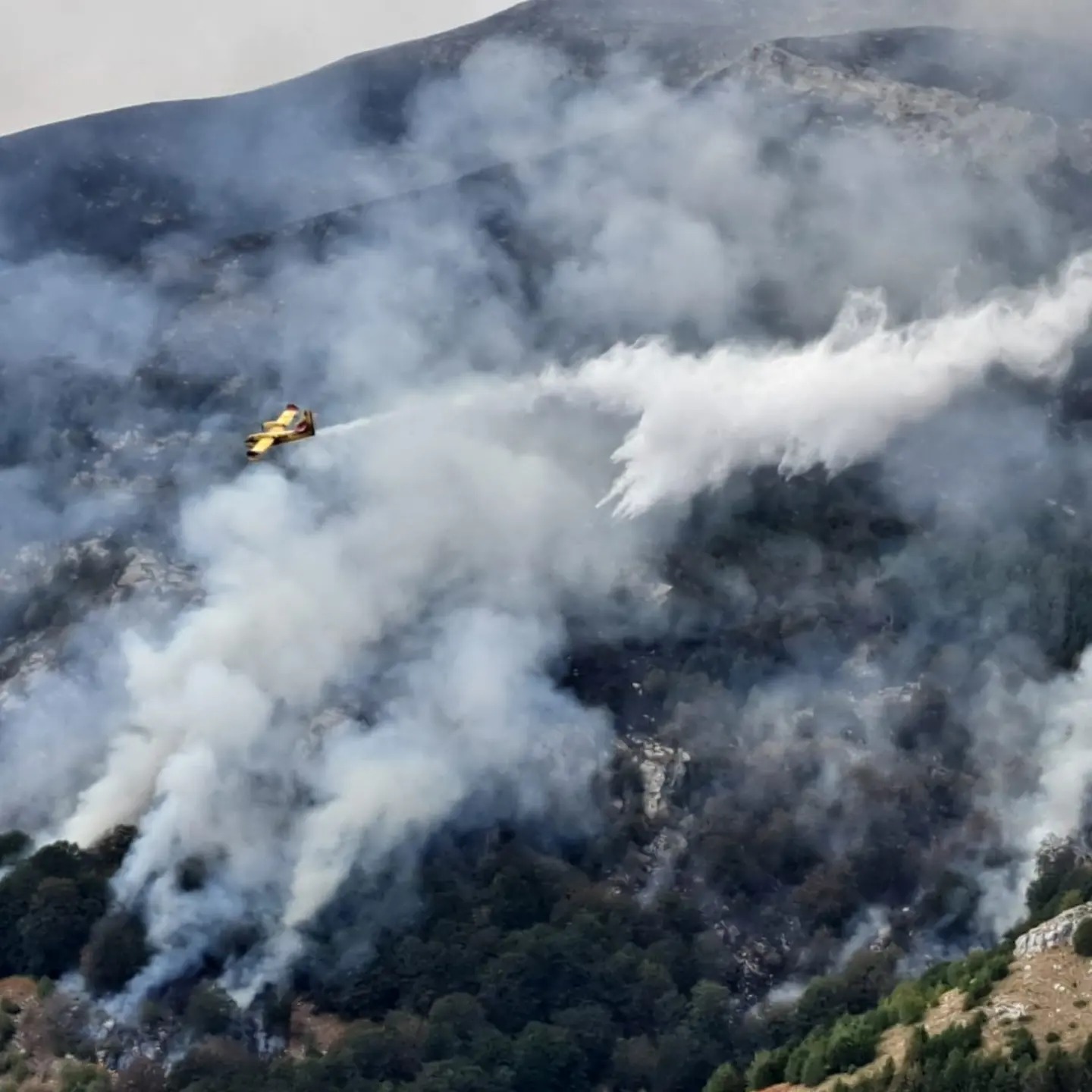 ΠΑΓΓΑΙΟ ΦΩΤΙΑ – ΤΙΤΑΝΙΑ ΠΡΟΣΠΑΘΕΙΑ – Καλά νέα από Πλατανότοπο – Μεγάλο ...